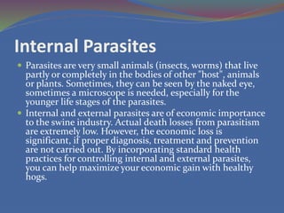 6. different kinds of swine diseases | PPTX
