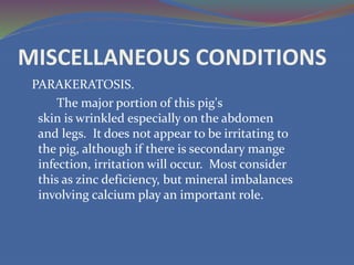 6. different kinds of swine diseases | PPTX