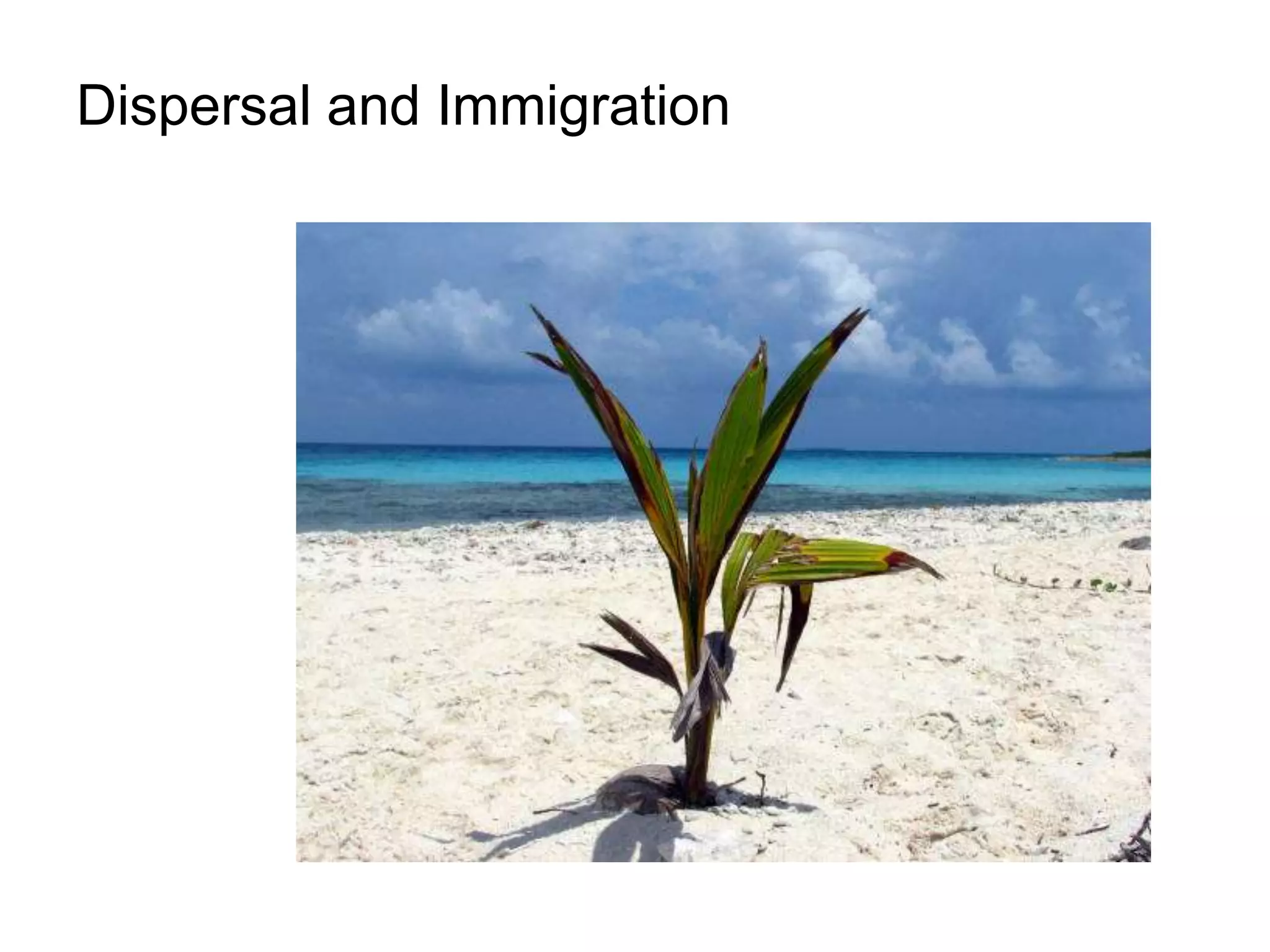 6 - Dispersal and Migration.ppt