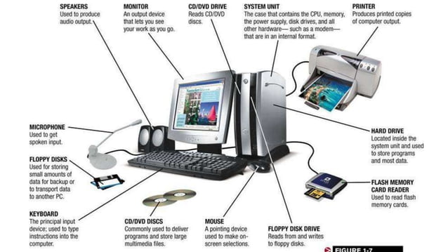 Do's & Don'ts Inside a Computer Lab | PPTX | Computer Peripherals | Computing