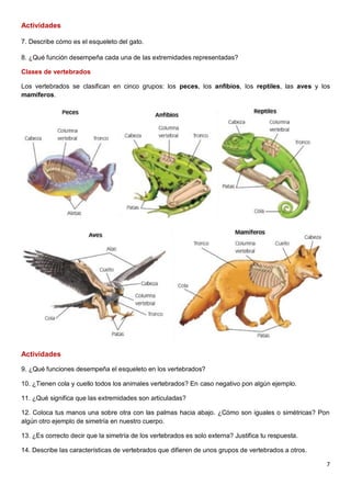 6-El-reino-Animales-Los-animales-vertebrados.pdf