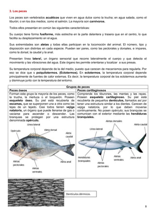 6-El-reino-Animales-Los-animales-vertebrados.pdf