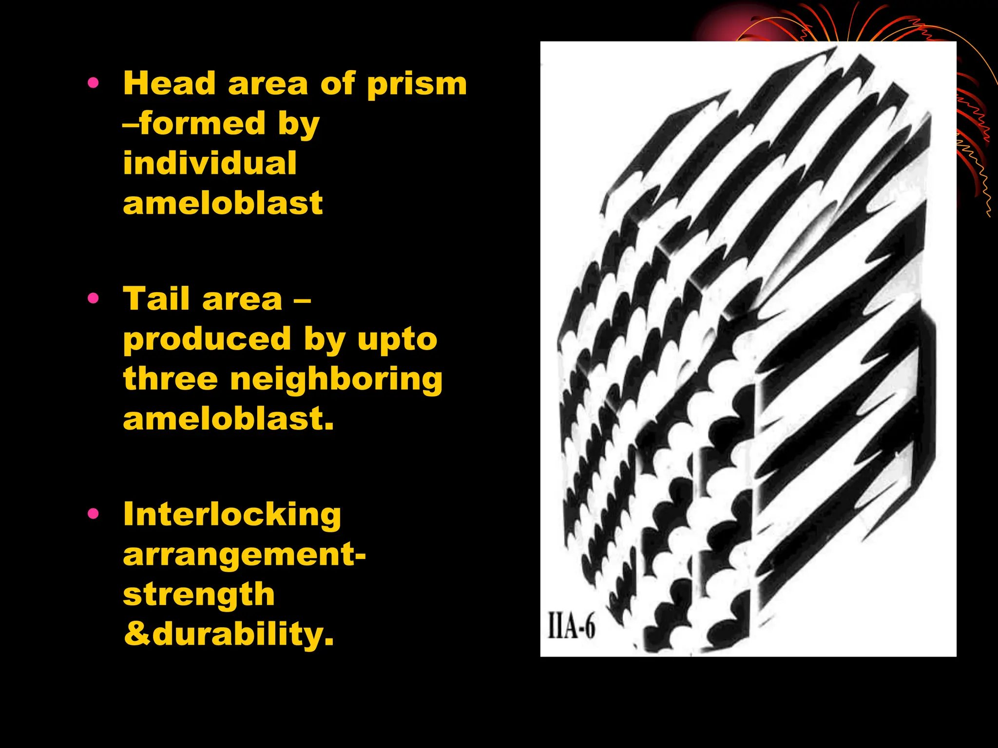 Structure of the first layer of tooth Enamel .ppt