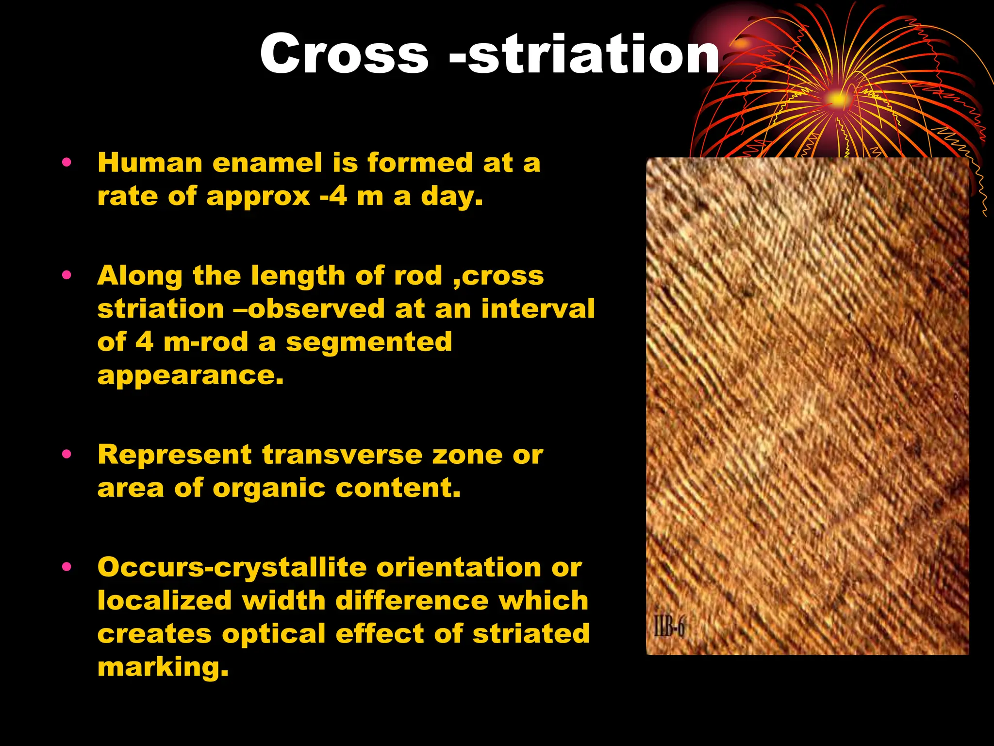 Structure of the first layer of tooth Enamel .ppt