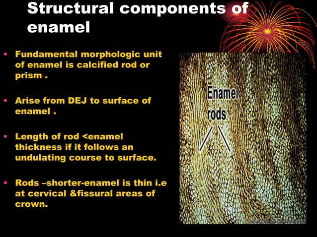 Structure of the first layer of tooth Enamel .ppt