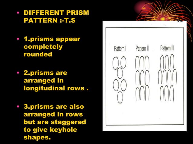 Structure of the first layer of tooth Enamel .ppt