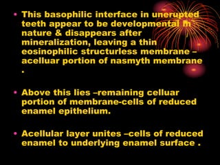 Structure of the first layer of tooth Enamel .ppt