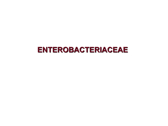 6. enterobacteriaceae | PPT