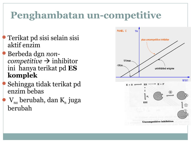 6. enzim | PPT