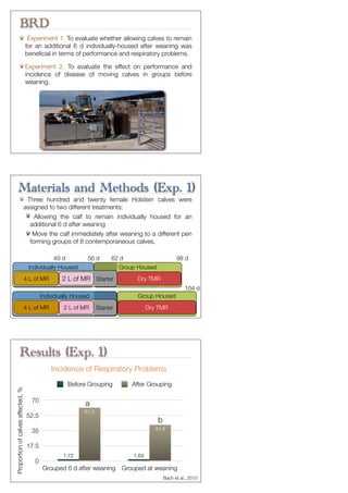 6.epidemiology and management of brd in dairy heifer replacements | PDF ...