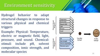 Hydrogels Amber bano.pptx