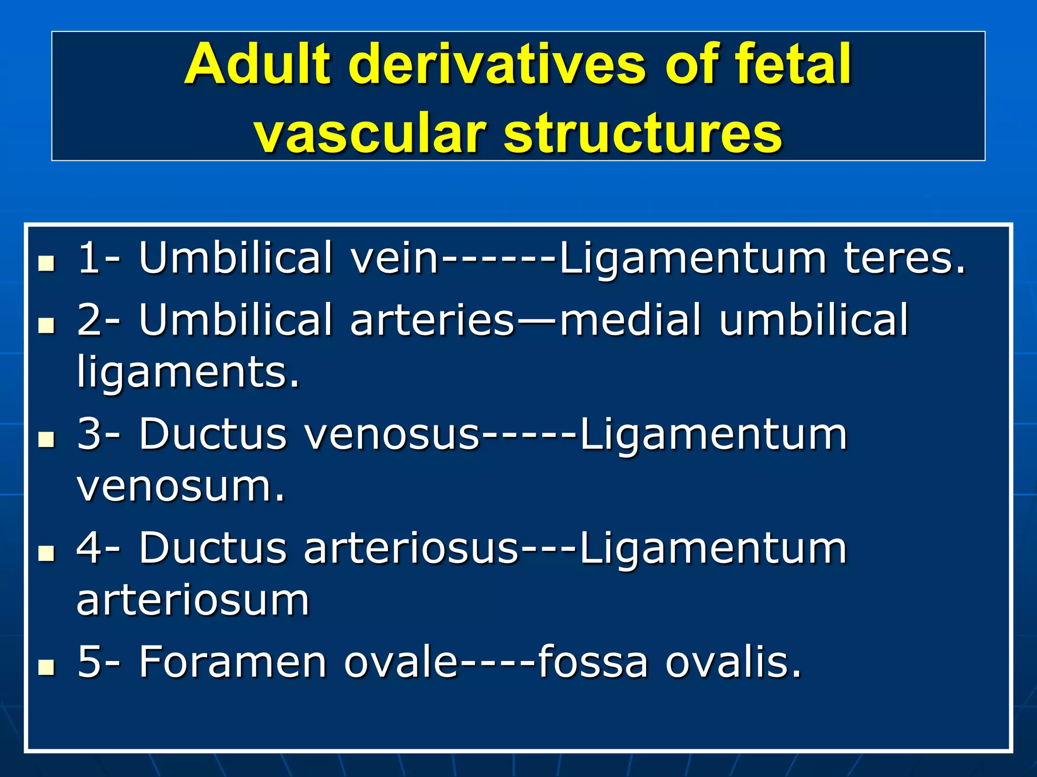 6- Fetal circulation.ppt