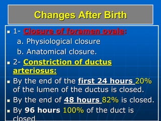 6- Fetal circulation.ppt