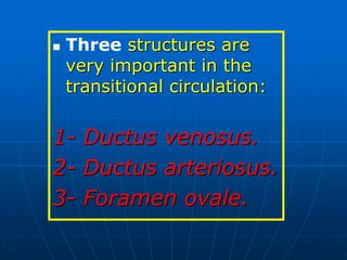 CIRUCULACION FETAL--------------------.. | PPT