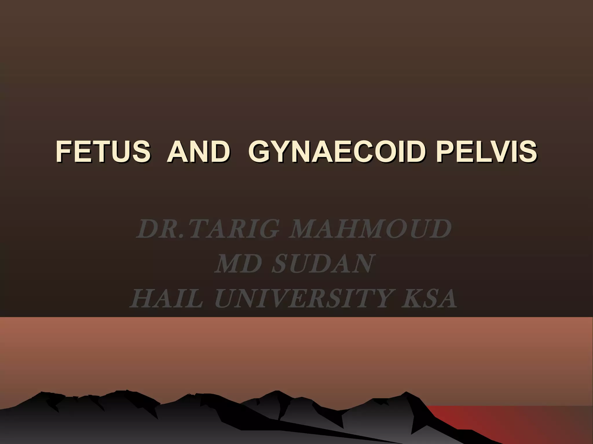 fetus and gynaecoid pelvis | PPT