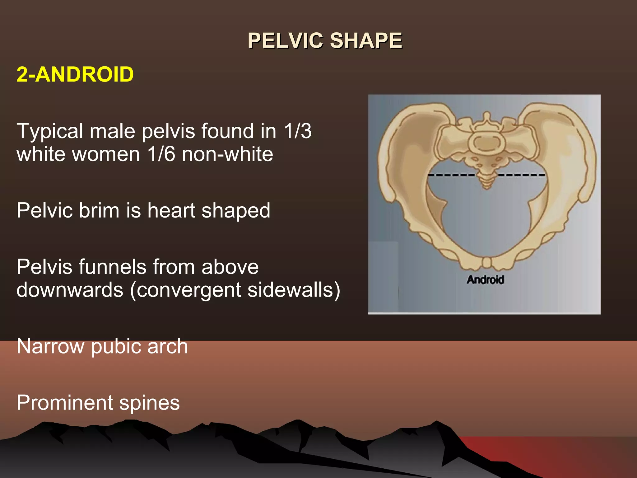 fetus and gynaecoid pelvis | PPT