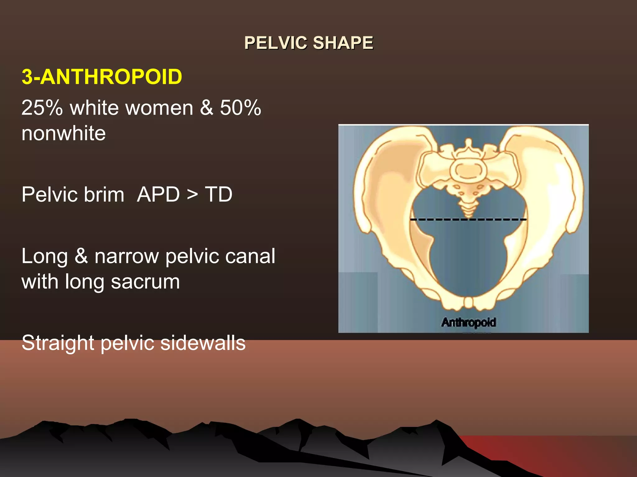 fetus and gynaecoid pelvis | PPT