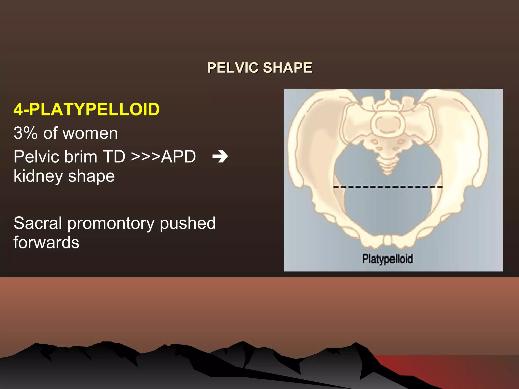fetus and gynaecoid pelvis | PPT