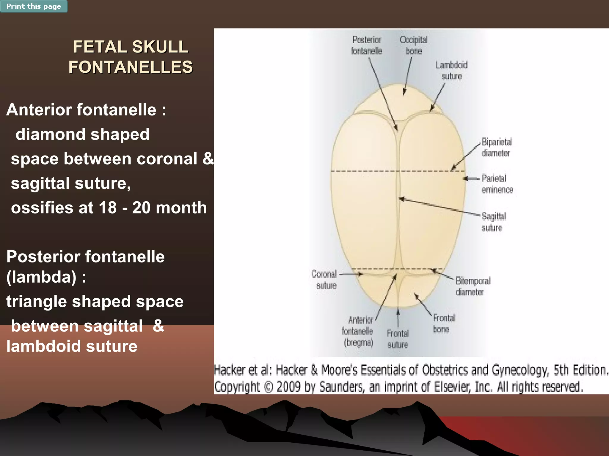 fetus and gynaecoid pelvis | PPT