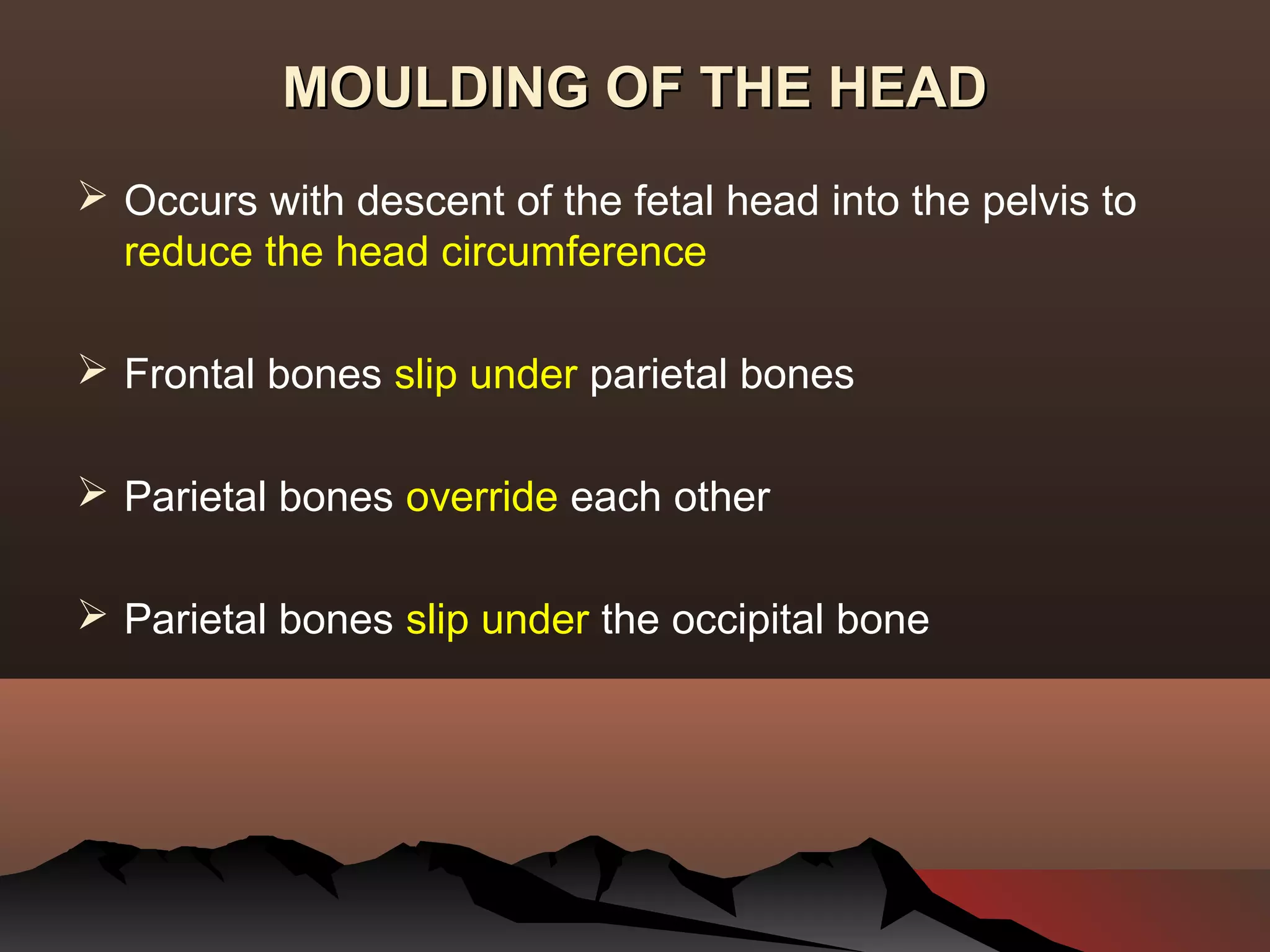 fetus and gynaecoid pelvis | PPT