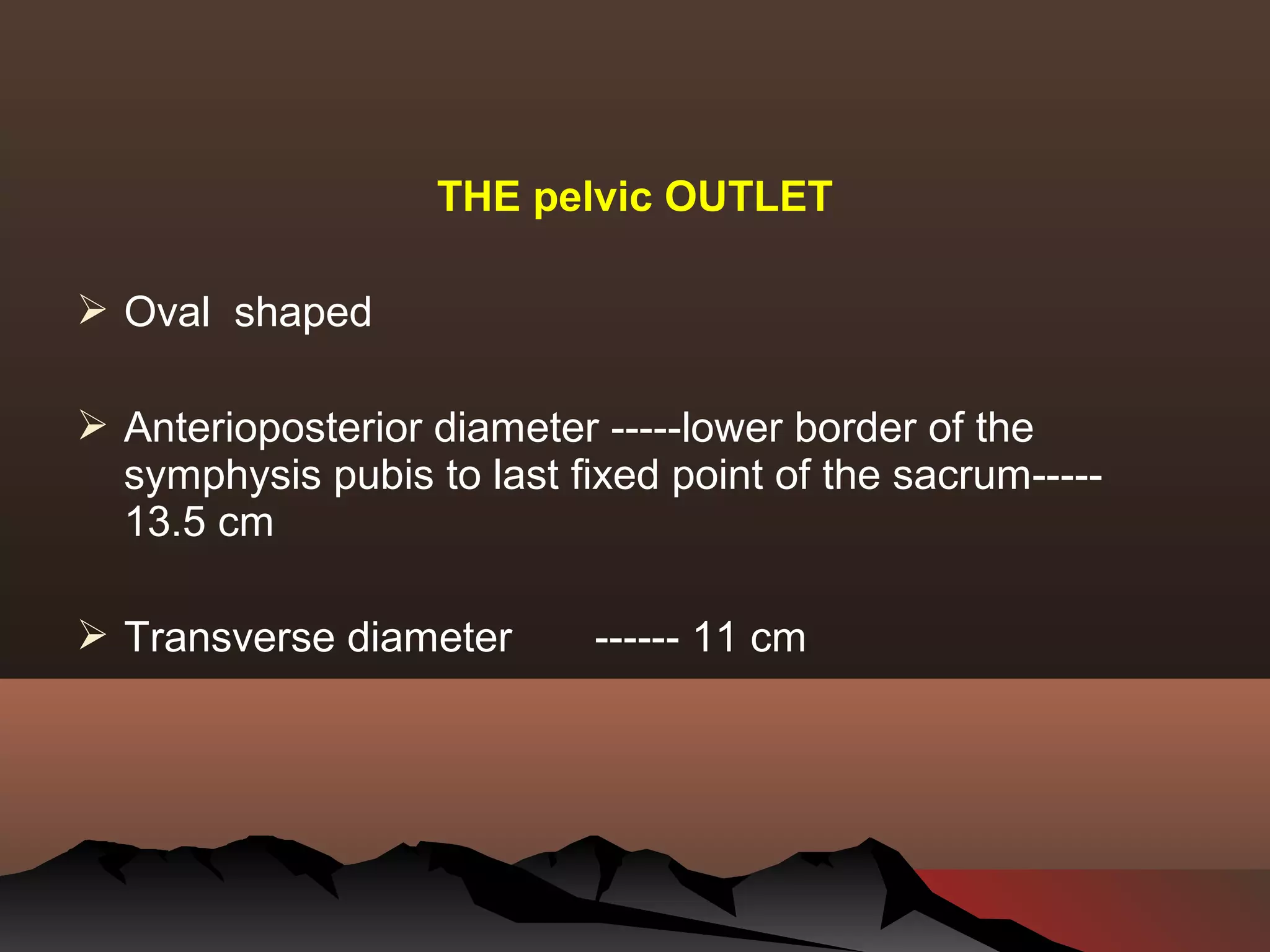 fetus and gynaecoid pelvis | PPT
