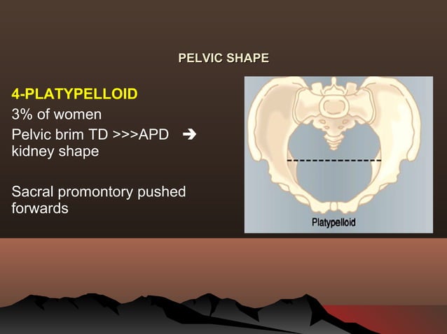 fetus and gynaecoid pelvis | PPT | Pregnancy | Reproductive Health