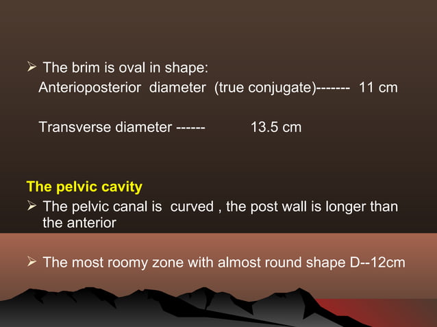 fetus and gynaecoid pelvis | PPT | Pregnancy | Reproductive Health