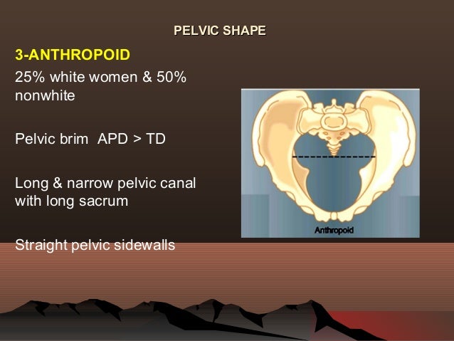 fetus and gynaecoid pelvis