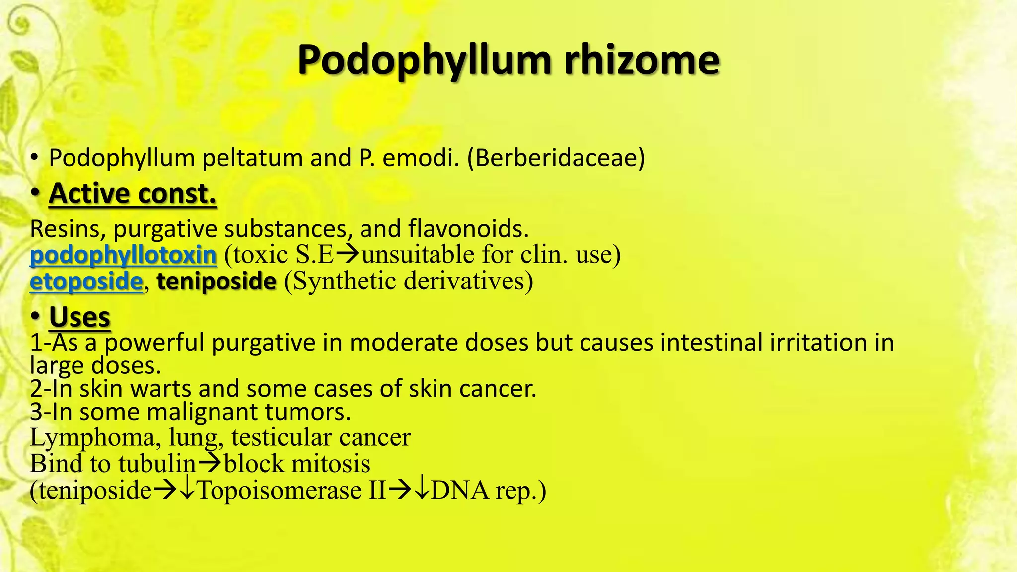 6 filix mas, garlic and podophyllum - copy | PPTX