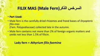 6 filix mas, garlic and podophyllum - copy | PPTX