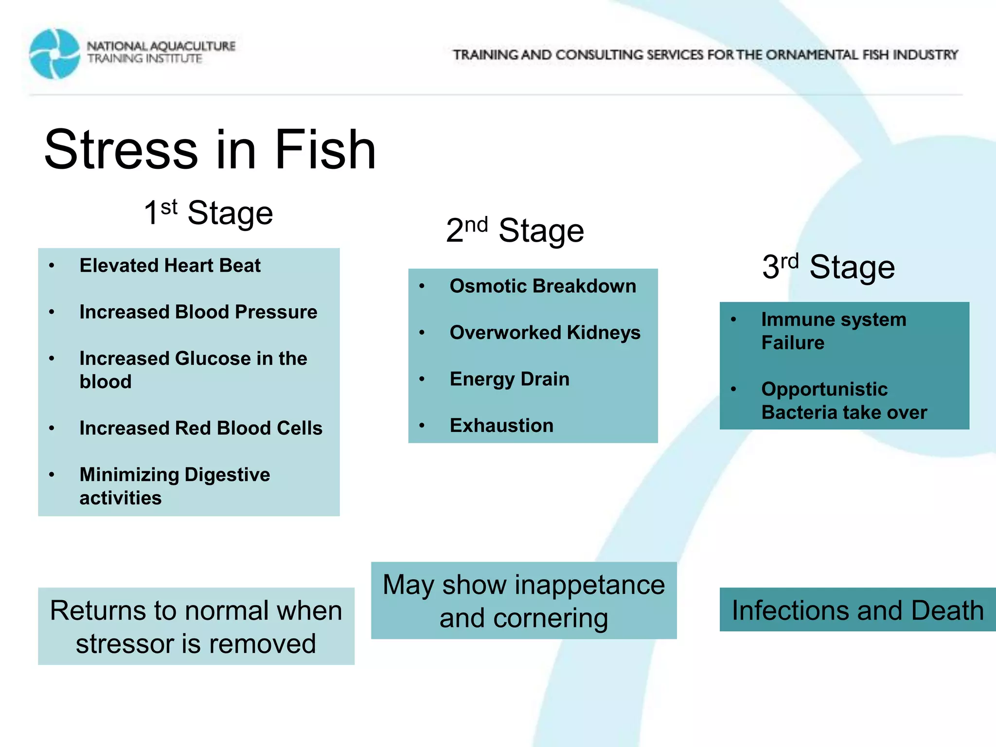 How to pack Aquarium Fish for transportation? | PDF
