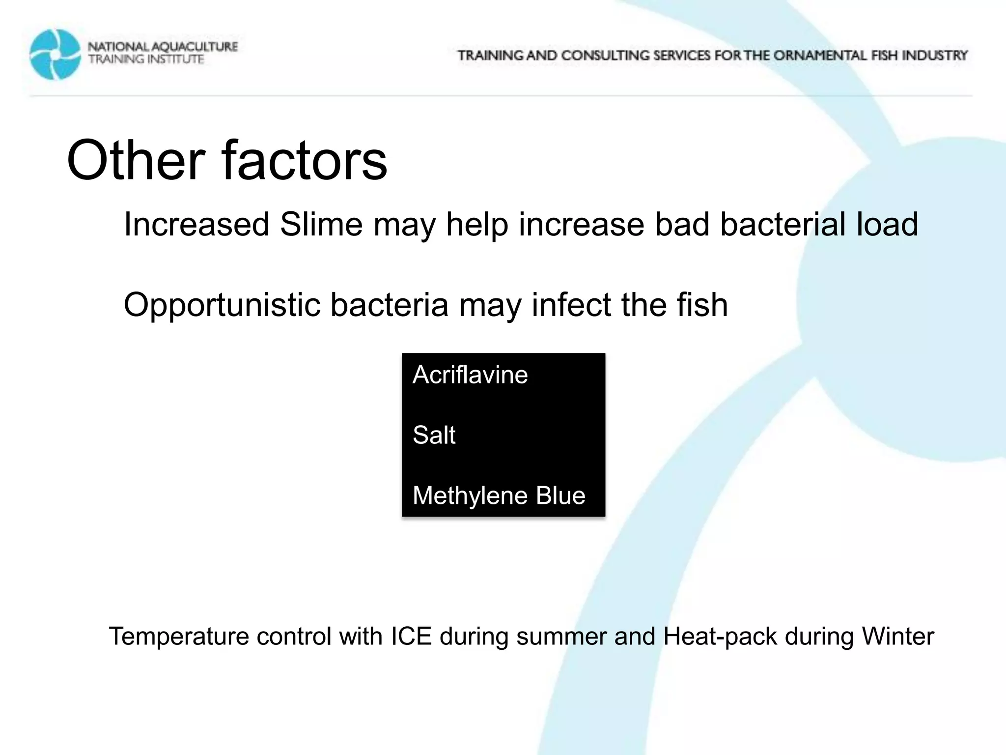 How to pack Aquarium Fish for transportation? | PDF