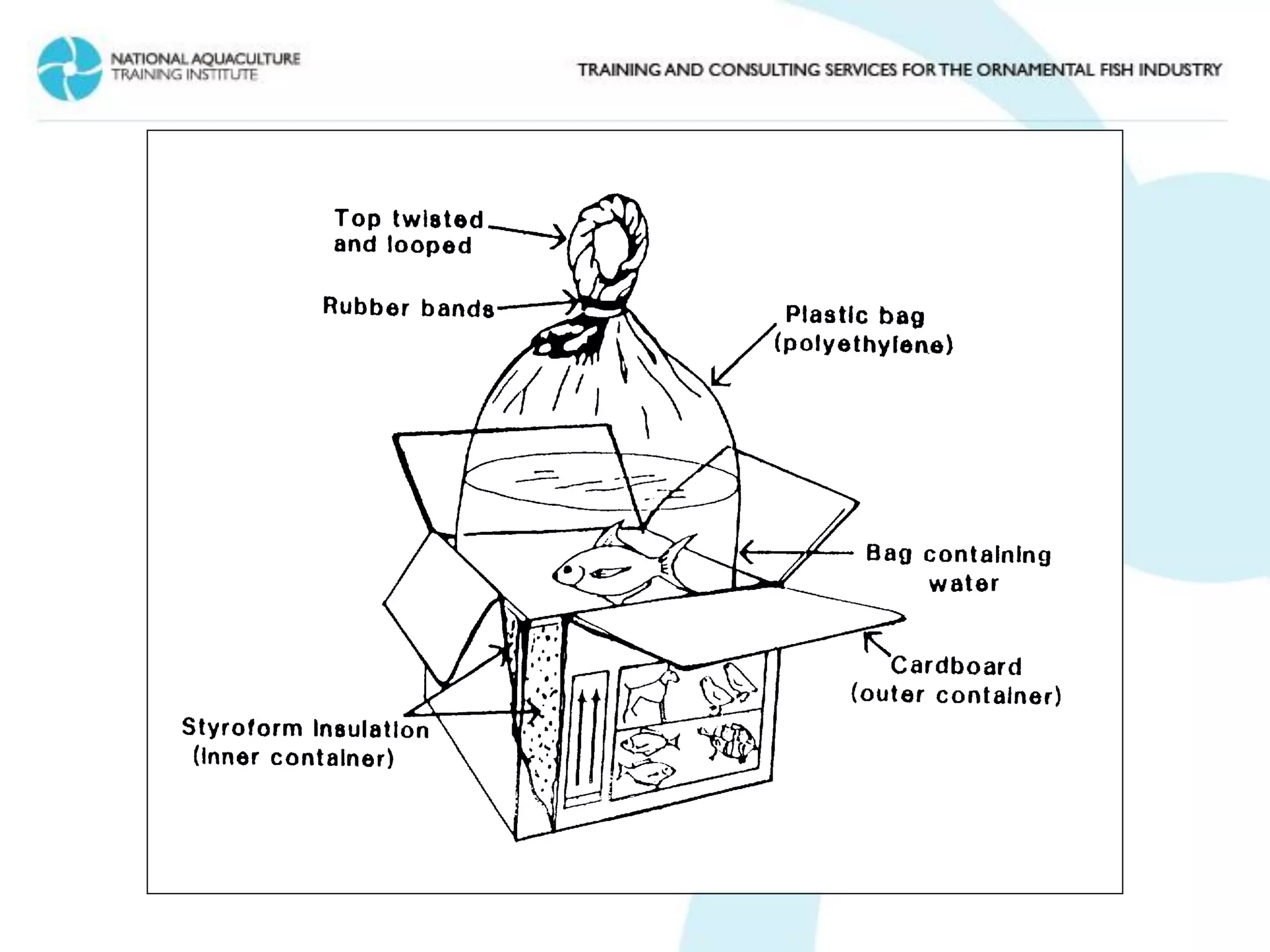 How to pack Aquarium Fish for transportation? | PDF