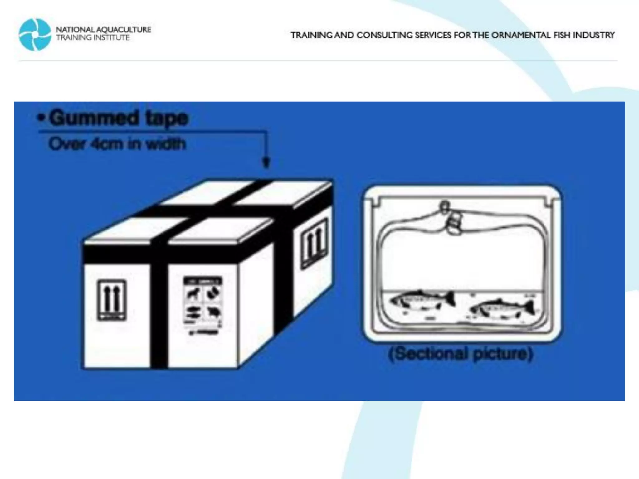 How to pack Aquarium Fish for transportation? | PDF