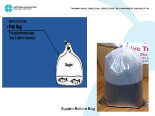 How to pack Aquarium Fish for transportation? | PDF