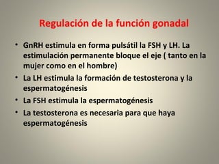 6 fisiopatologia-de-las-gonadas | PPT