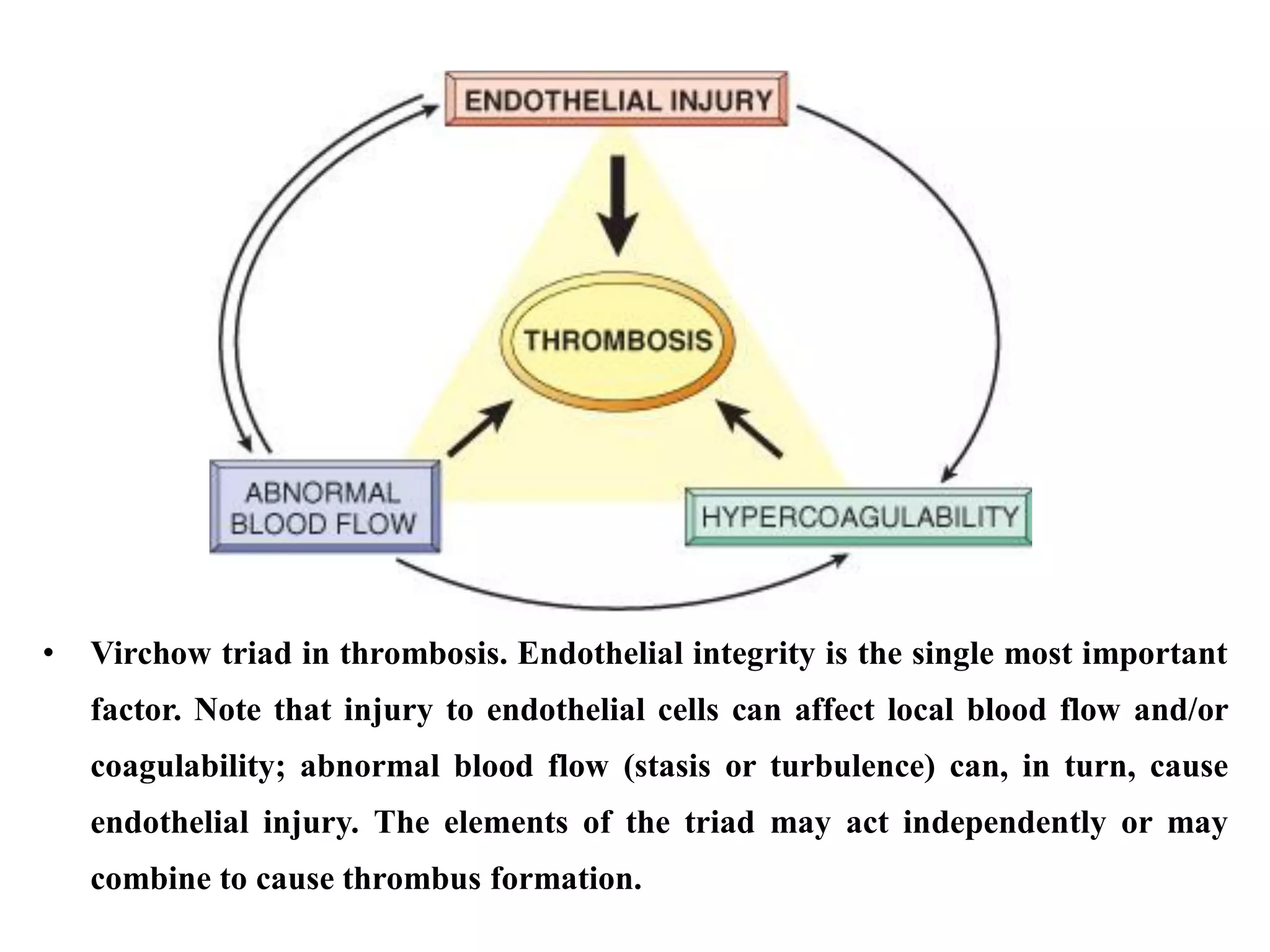 6 hemodynamic disorders | PDF