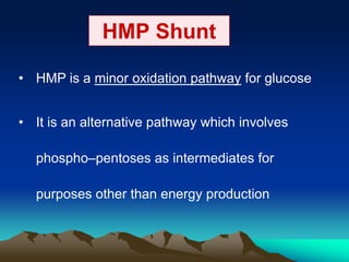 6 hmp+glucuronic | PPT