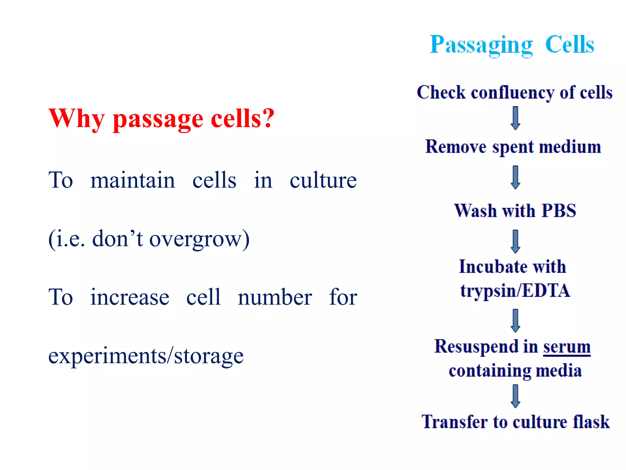 6 how do we culture cells in the laboratory lecture 6 | PPT