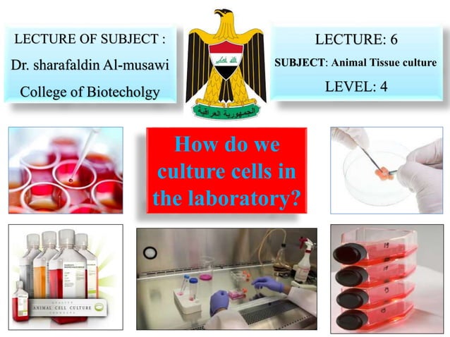 6 how do we culture cells in the laboratory lecture 6 | PPT