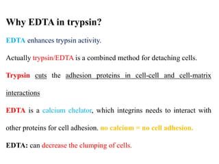 6 how do we culture cells in the laboratory lecture 6 | PPTX