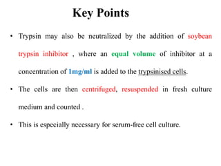 6 how do we culture cells in the laboratory lecture 6 | PPT