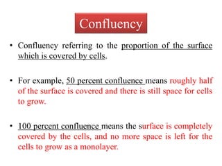 6 how do we culture cells in the laboratory lecture 6 | PPT