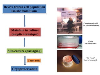 6 how do we culture cells in the laboratory lecture 6 | PPT