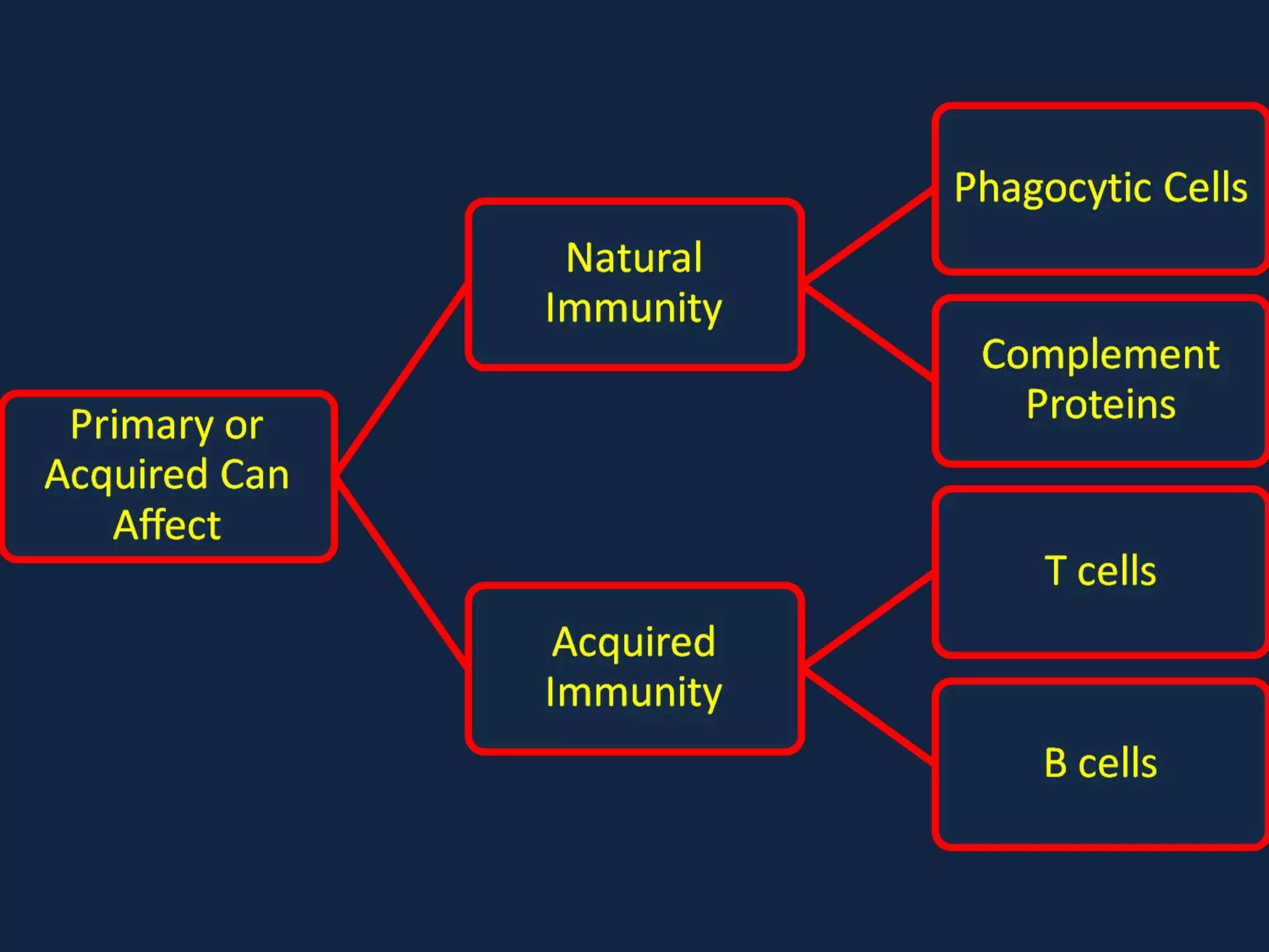 immunodeficiency | PPT