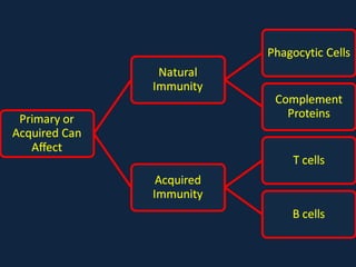 immunodeficiency | PPT