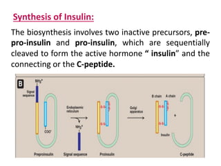 6-Insulin___Glucagon_Hormones_2022.pdf