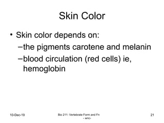 6 - Integumentary system.ppt all about skin | PPT