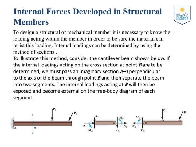 6- Internal Forces.pdf | Physics | Science