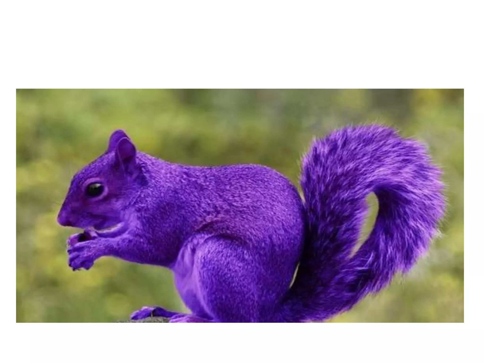 interviewing candidates-HRM | PPTX